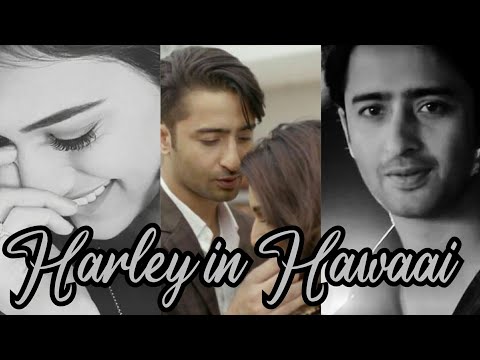 Devakshi - Harley in Hawaai short vm| shaheer ki deewangi😋