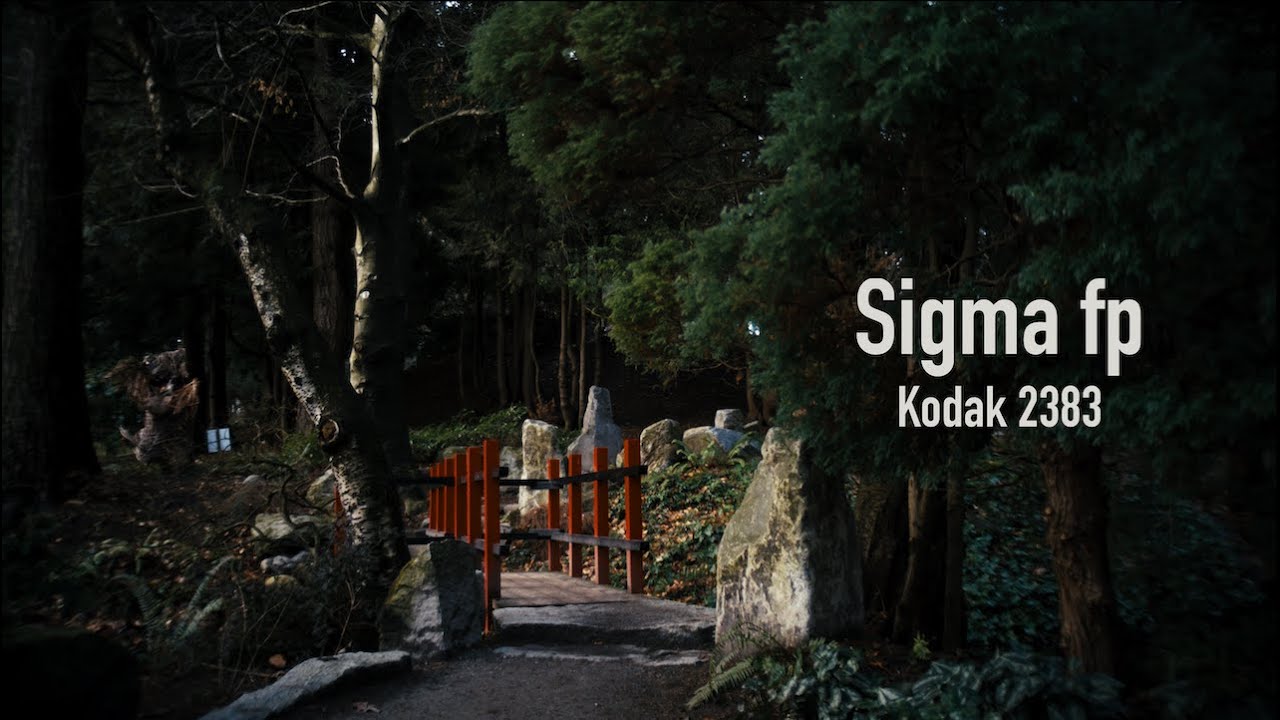 Sigma fp | 4K Cinema DNG - YouTube