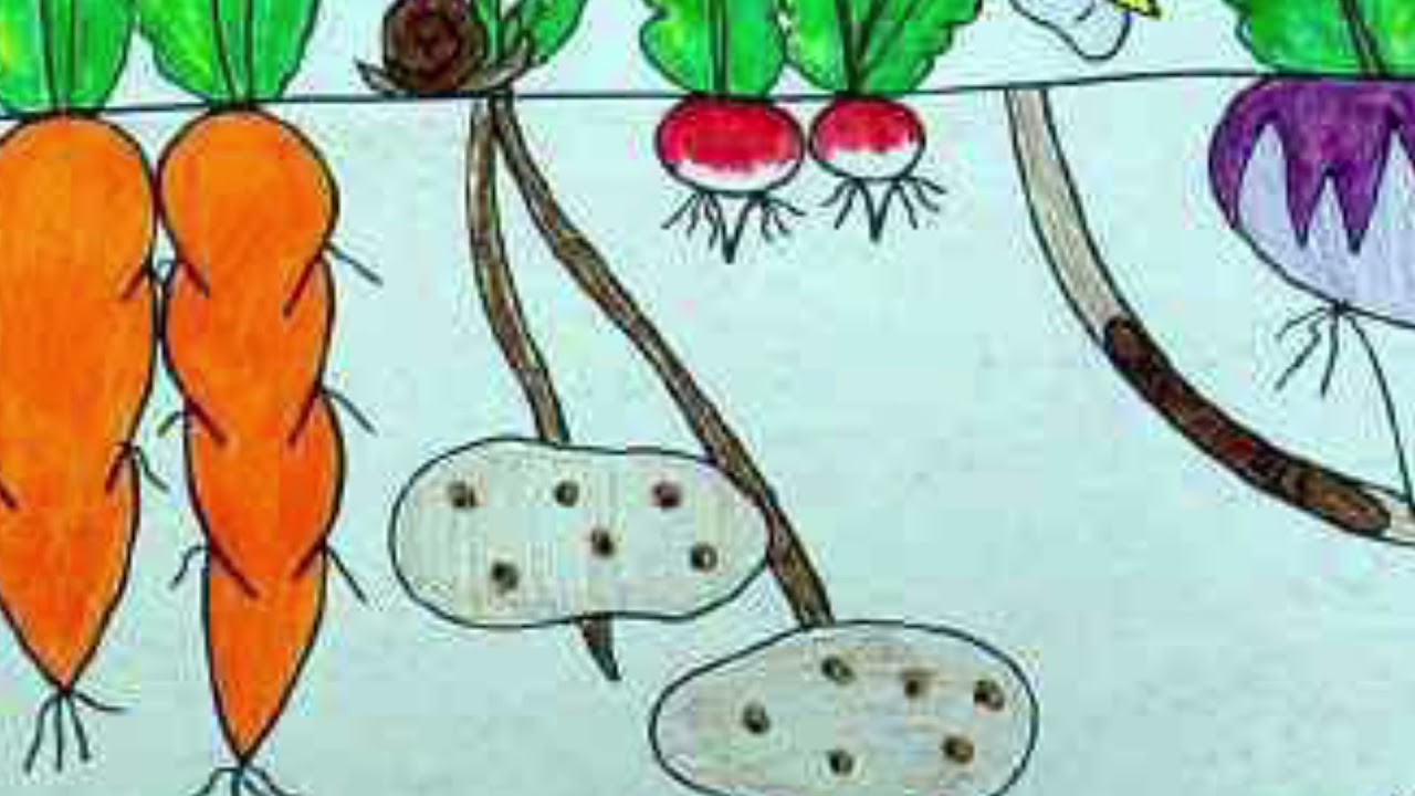Harvest at Morriston Primary School - YouTube