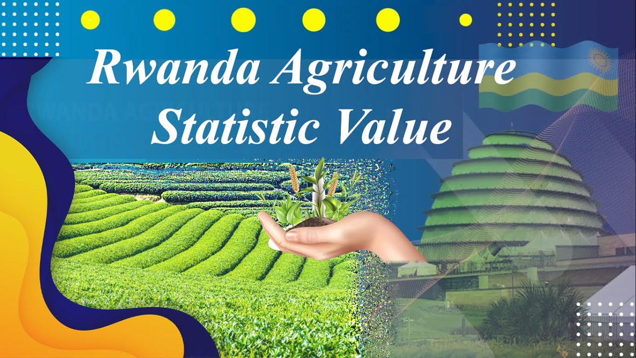Rwanda Agriculture Statistic Value - YouTube
