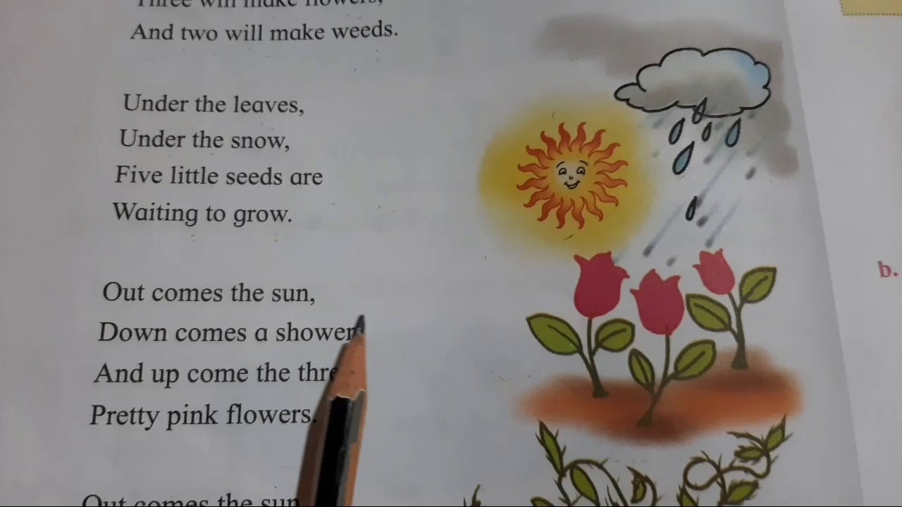 3.6 - Five Little Seeds/ explanation/2nd std English online study - YouTube