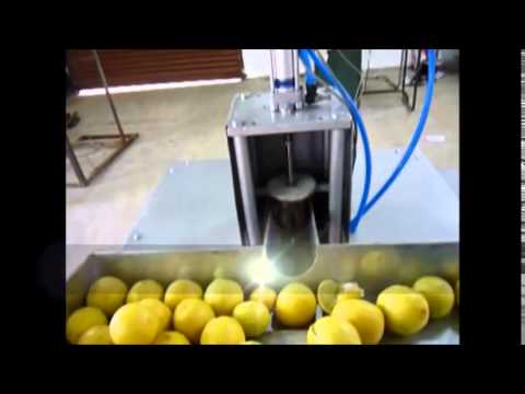 Lemon Cutting Machine - YouTube