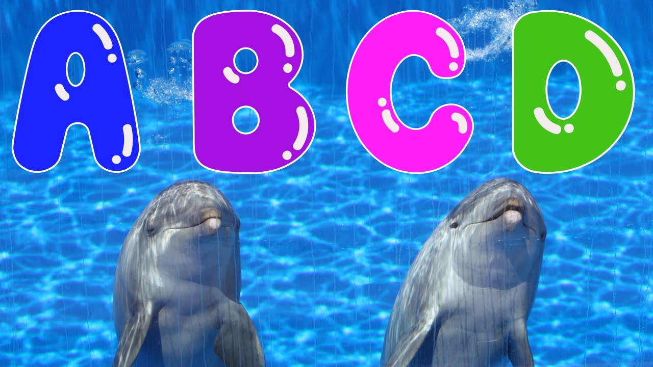 ABC Song with Dolphins | Fun Alphabet Learning for Kids - YouTube