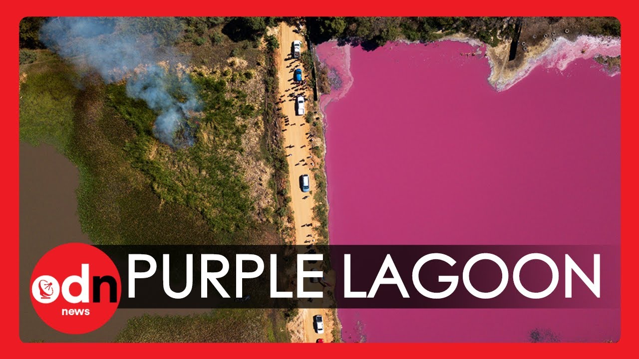 Shocking! Pollution Turns Lagoon Bright Purple in Paraguay - YouTube