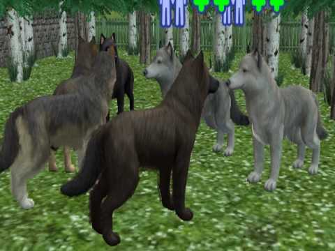 Sims 2 Pets Wolves - YouTube