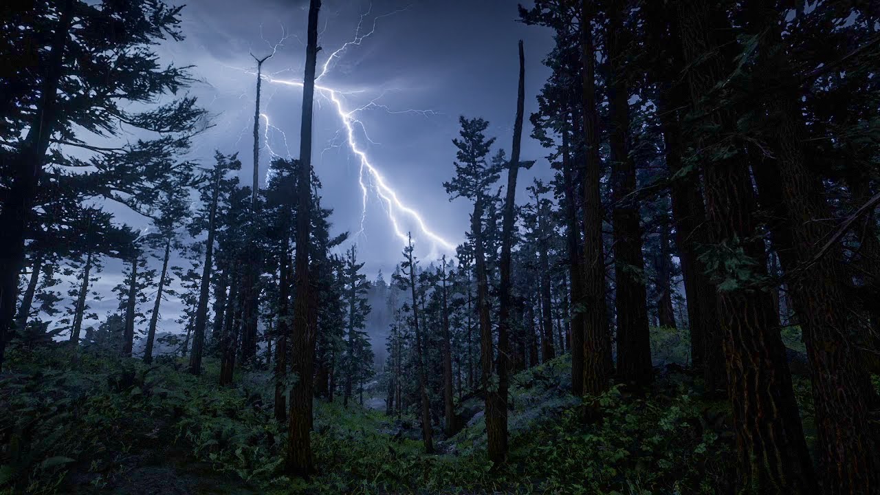 Forest Thunderstorm Ambience 🌧️ – Heavy Rain and Thunder Sounds for ...