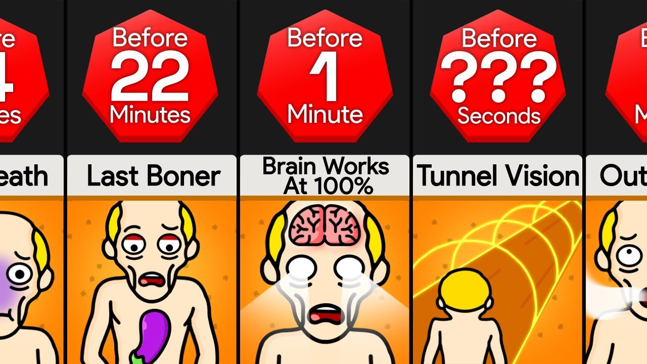 Timeline: What Happens Just Before You Die - YouTube