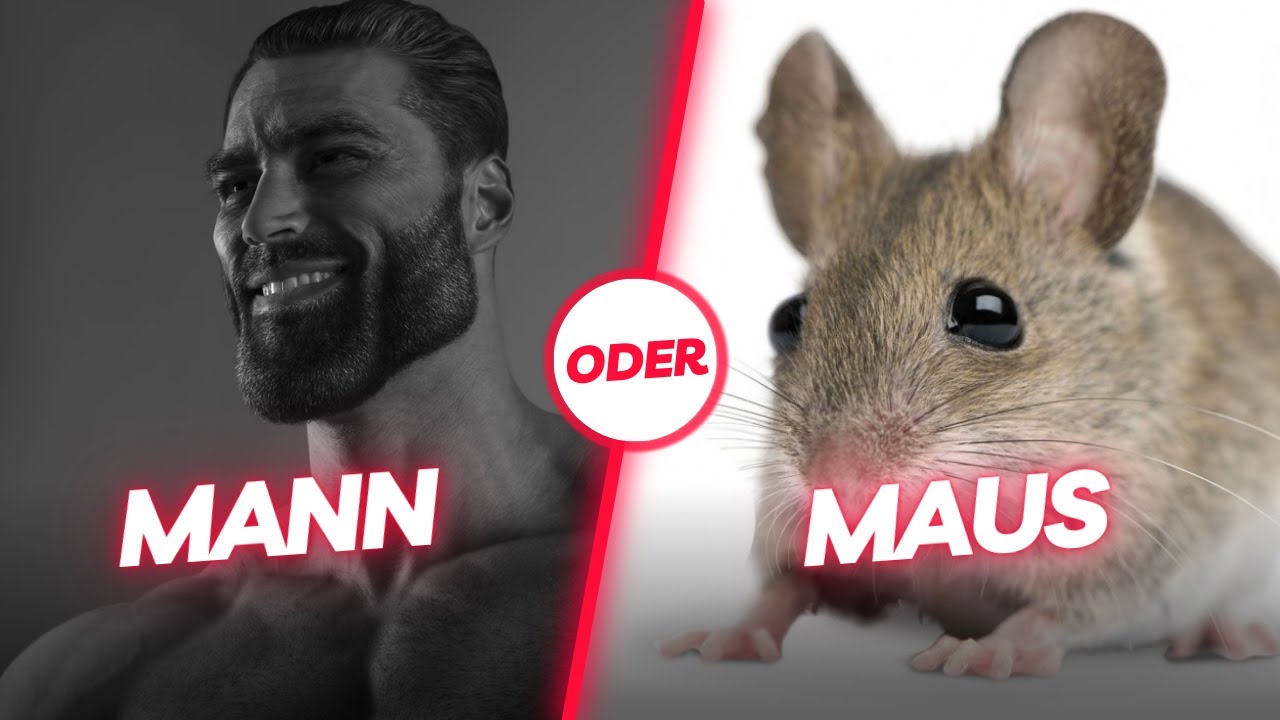 Mein erster Auftritt: Bist du ein Mann oder eine Maus? - YouTube