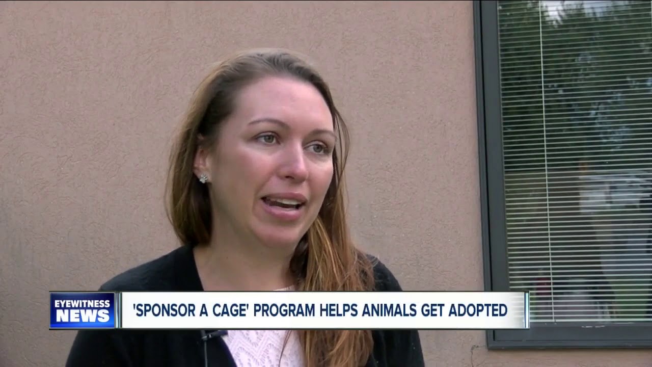 Niagara SPCA starts new 'Sponsor a Cage' program to help get shelter ...