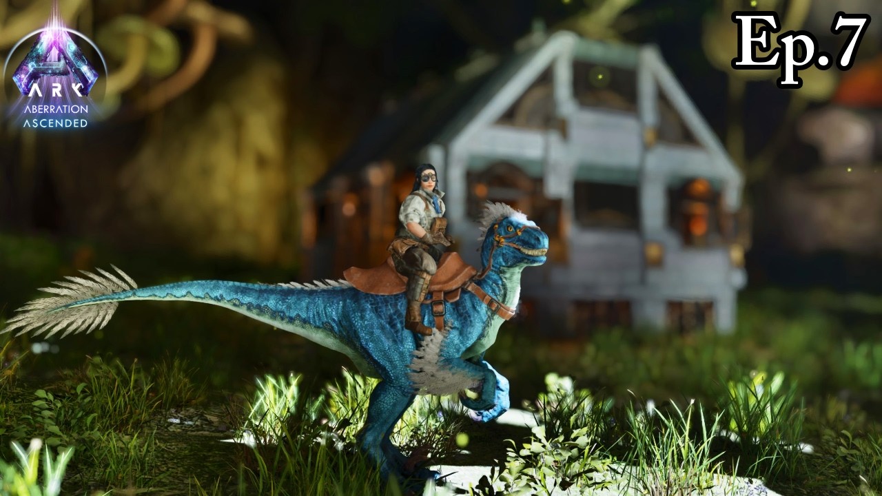 This Might Be The Most Beautiful Raptor I Could Have Possibly Found ...