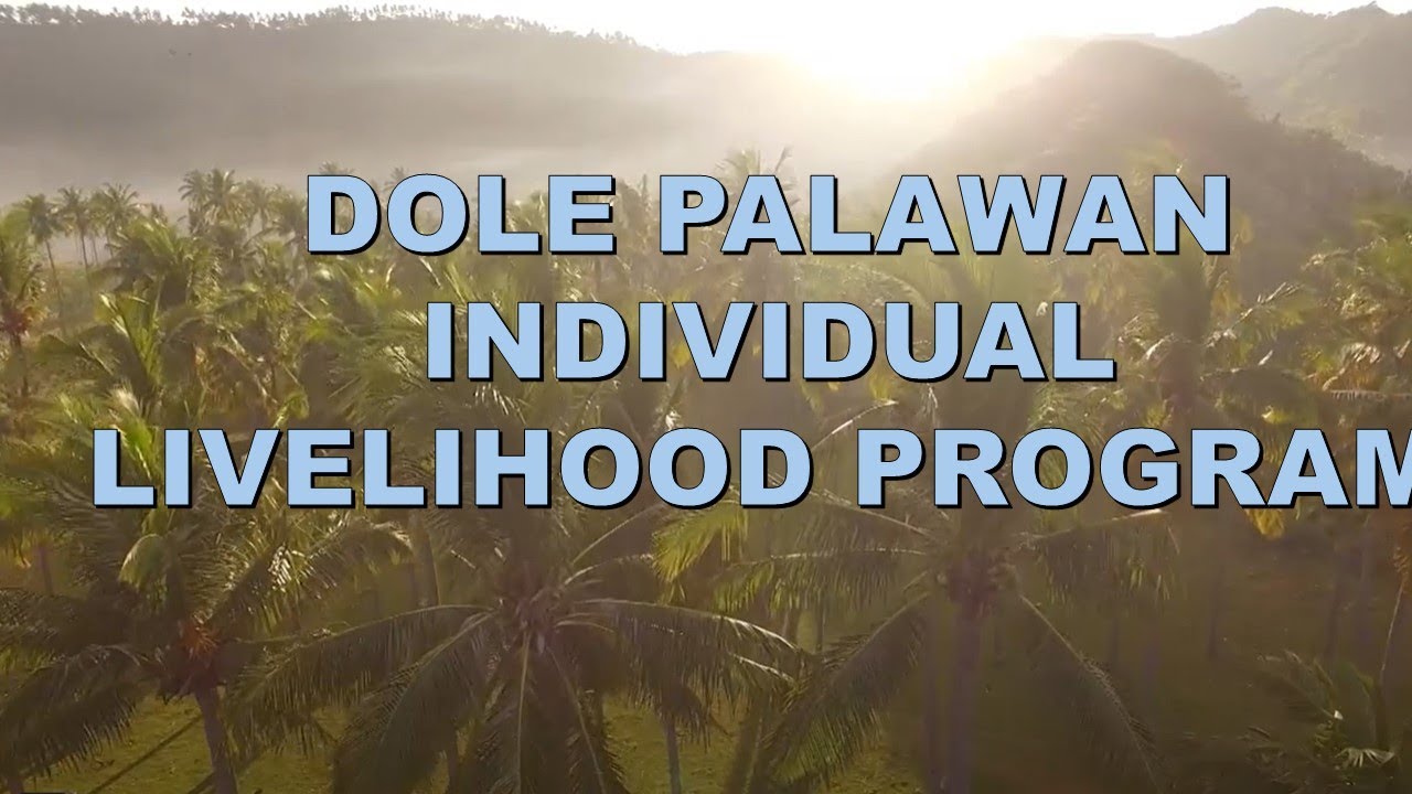 DOLE PALAWAN INDIVIDUAL LIVELIHOOD PROGRAM - YouTube