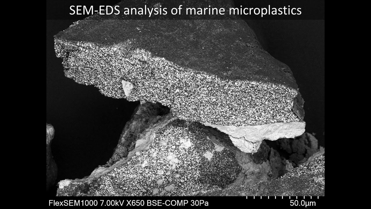 [Life] SEM-EDS analysis of Marine Microplastics (MP) - YouTube