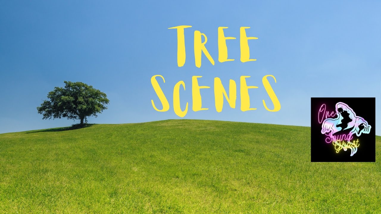 ONE HOUR TREE SCENES PEACEFUL RELAXING MEDITATION MUSIC NATURE ...