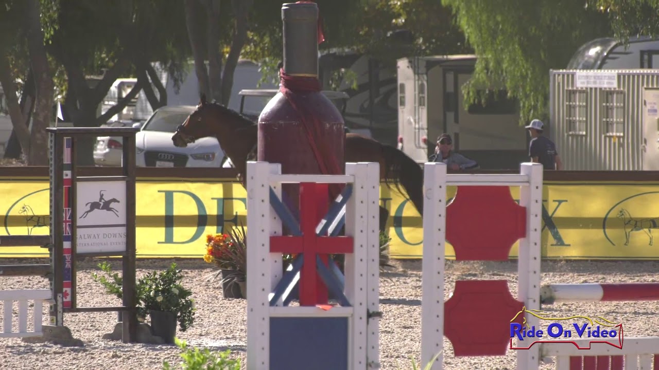 183S Heather Lamb on Cristal de Carlier SR Training Show Jumping Galway ...