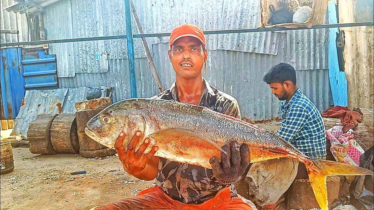 KASIMEDU HOTEL SEKAR|| TREVALLY PARAI FISH CUTTING|| 4K VIDEO ...