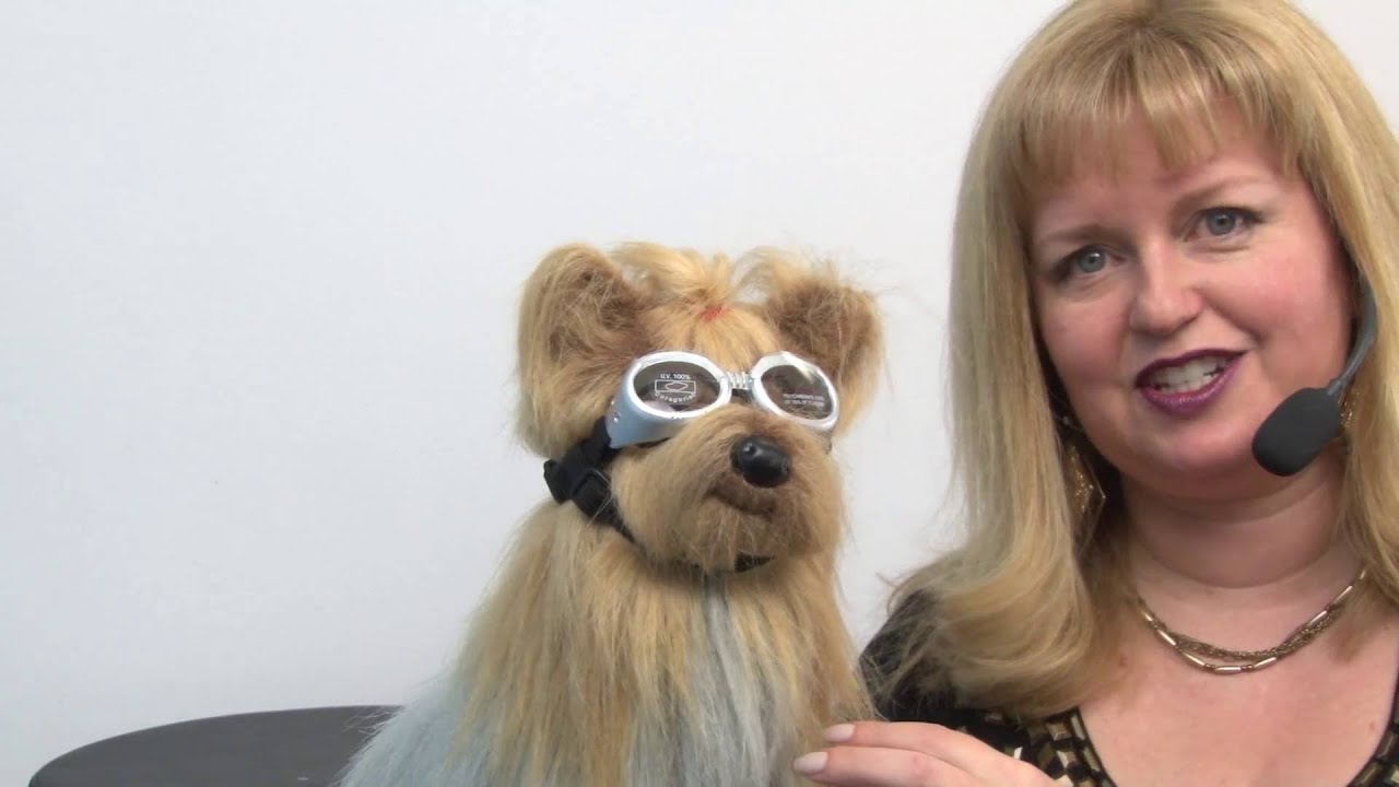 How Are Doggles Measured