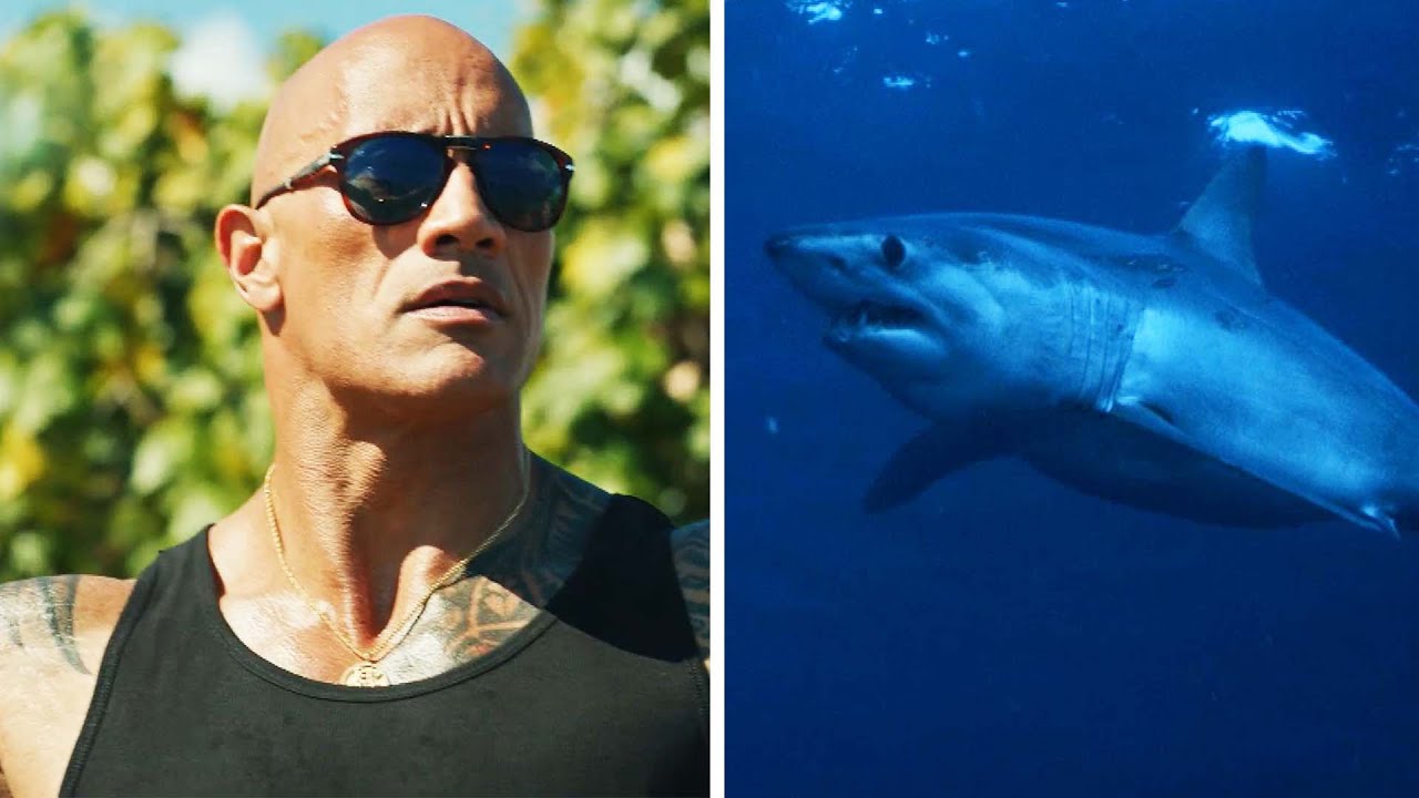 Discovery Channel Celebrates Its 34th Annual Shark Week - YouTube