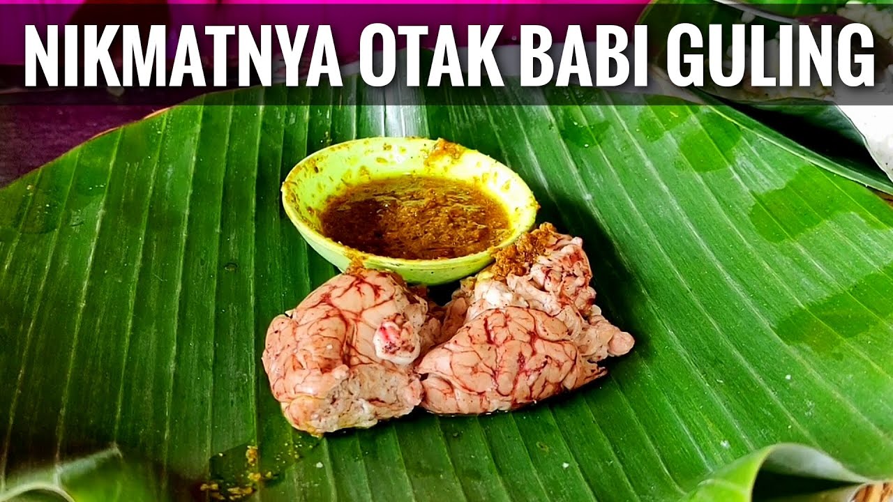 EAT PORK BRAINS DO YOU DARE YouTube