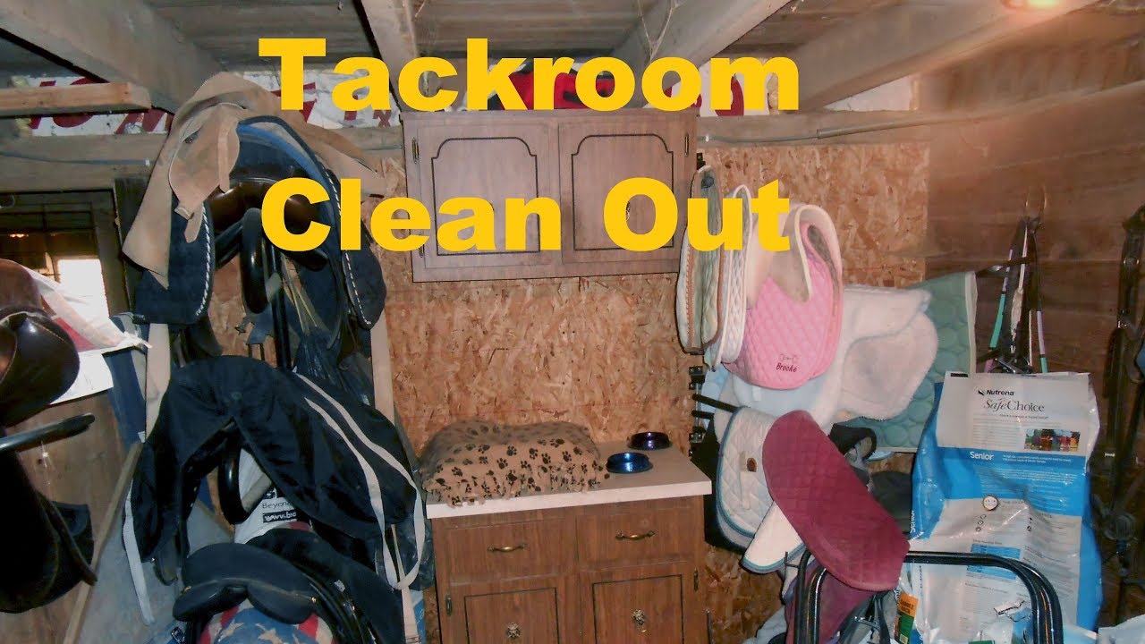 Tack Room Clean Out and Organization Items and DIY Bridle Rack - YouTube
