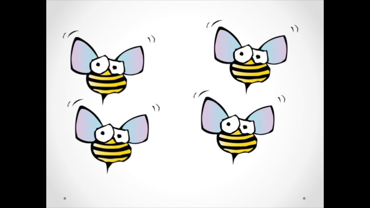 BATKIS Graphing Conventions - YouTube