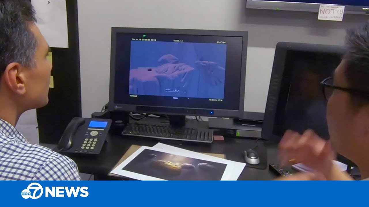 Creator of 'Wind' speaks about inspiration for new Pixar short - YouTube