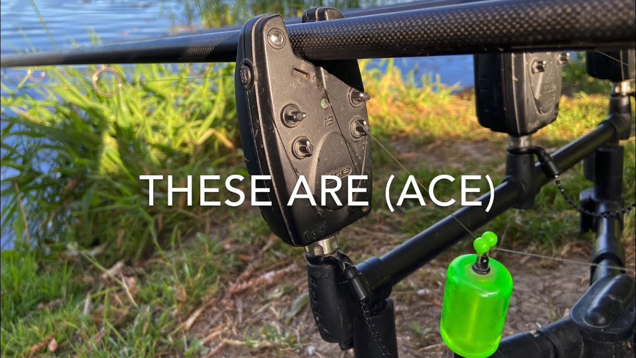 Carp fishing. ACE. - YouTube