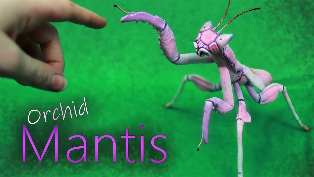 Orchid Mantis || Poseable Insect Art Doll Tutorial - YouTube