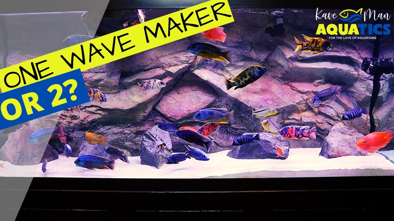 How Many Wave Makers In Aquarium - (1 or 2?) - YouTube