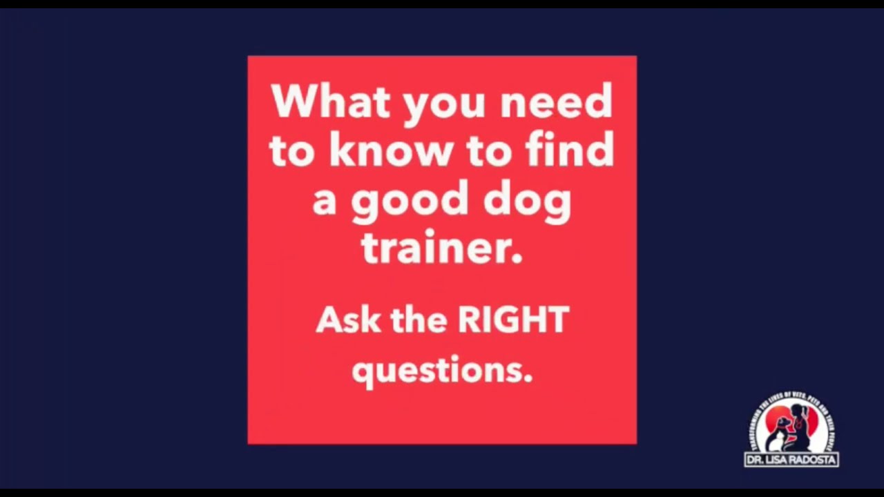 Choose the right dog trainer - YouTube