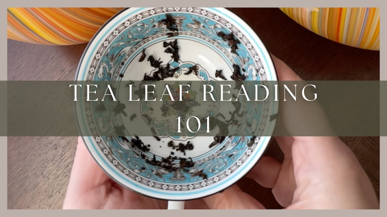Tea Leaf Reading 101 How To Read Tea Leaves For Beginners Youtube