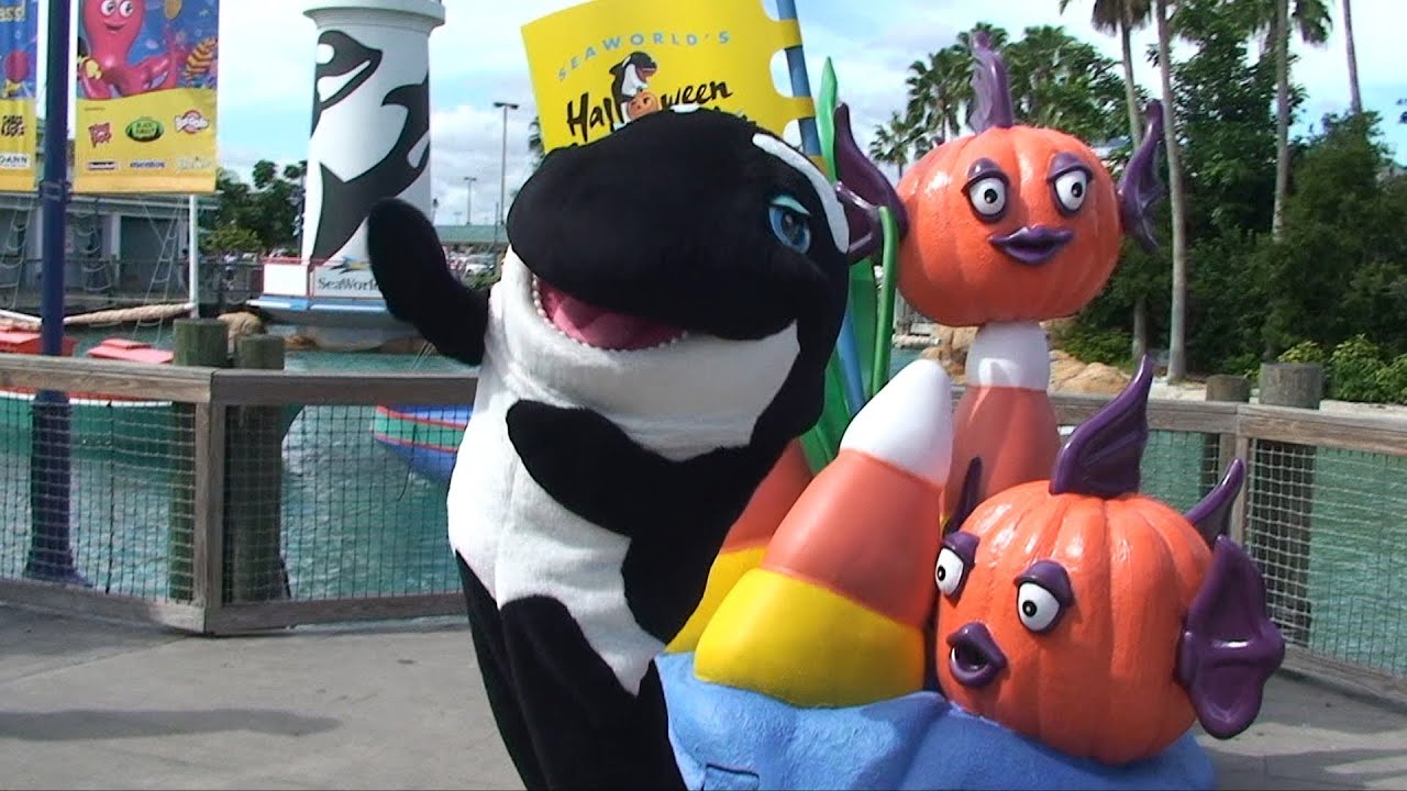SeaWorld Spooktacular Halloween Highlights 2012 - Animal Encounter ...