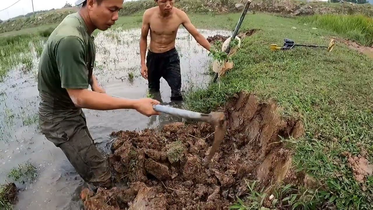 KING PYTHON107 | Use Smart Snake Detector To Detect 1000 Newly Hatched ...