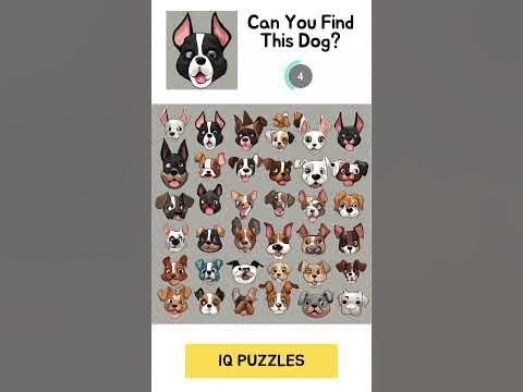 Find the Dog? 🐶 Find Object Game - YouTube