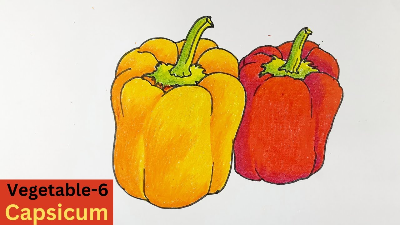 Capsicum/ How to draw capsicum/ new drawing video/ easy vegetable ...