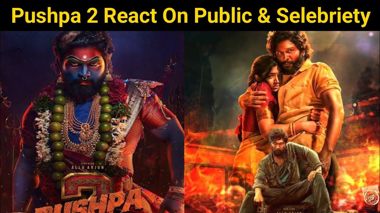 Pushpa 2 Movie Reaction On Achhay Kumar And Yogi, Pushpa 2 Movie ...