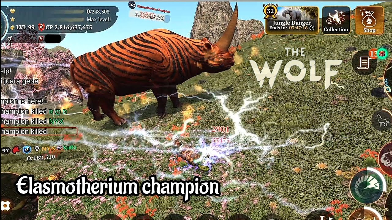 The wolf - Champions in featured 8 - YouTube