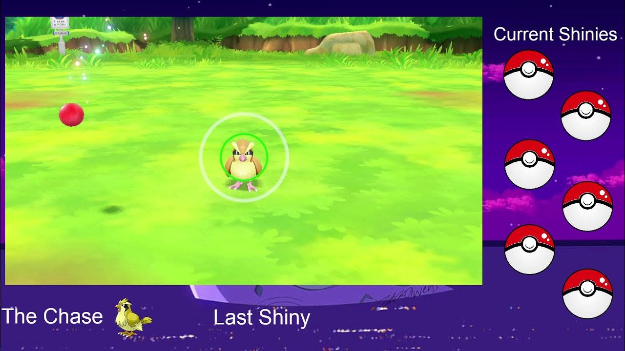 Pidgey Shiny Hunt Lets Go Eevee - YouTube