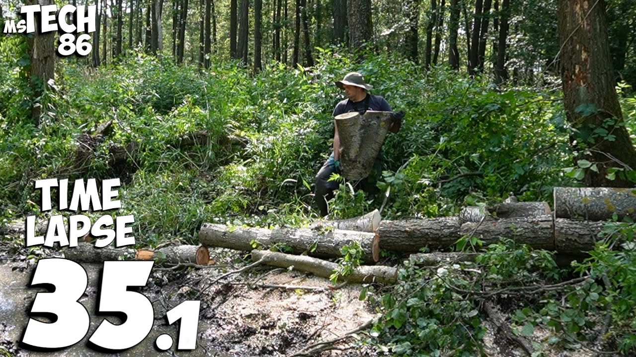 Manual Removal Of A Beaver-fallen Tree And A Gale-felled Tree No.35.1 ...