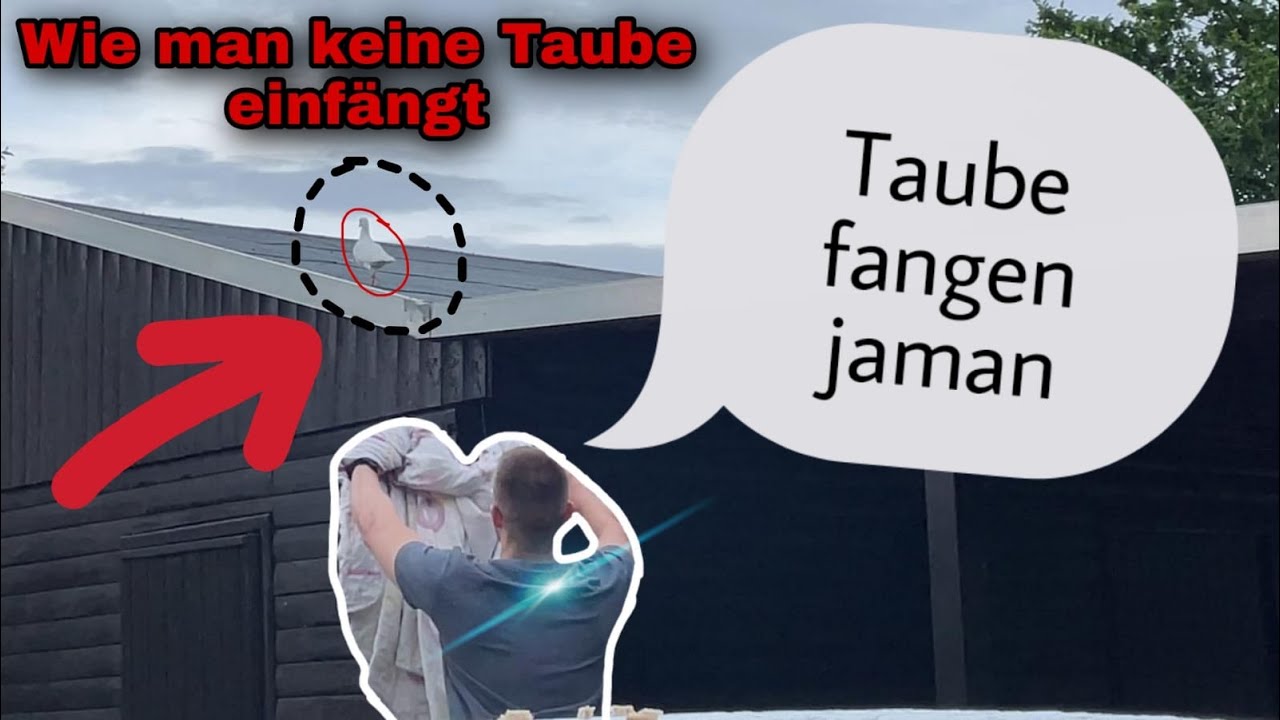 TAUBEN FANGEN mit Siab & Co. KG. - YouTube