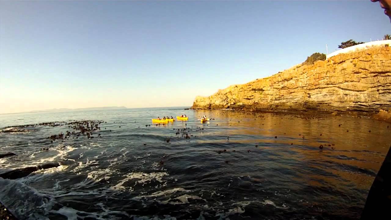 Hermanus Kayaking - YouTube