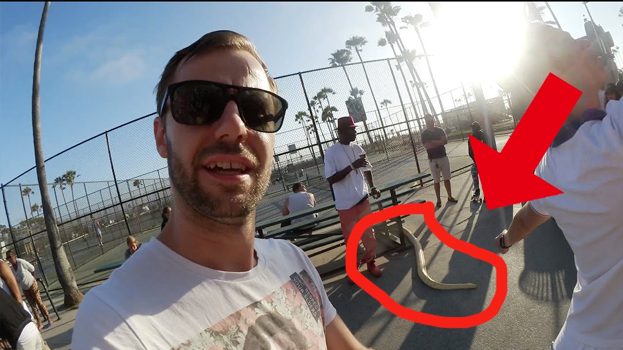Python in Venice Beach entlaufen?!? Vlog aus Los Angeles mit Josh Paler ...