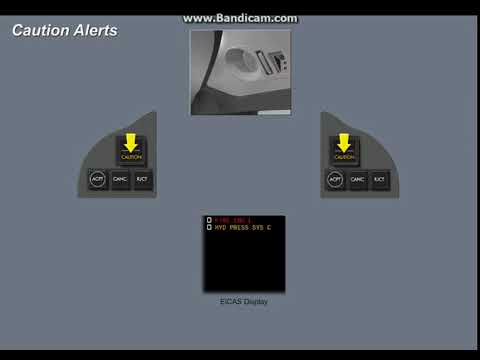 Crew Alerting System - EICAS (Displays Indications and Messages) - YouTube
