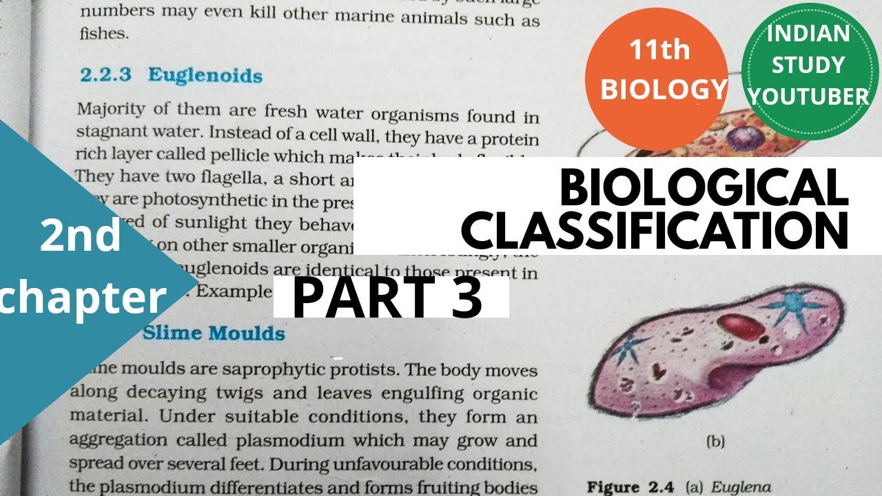 NCERT Class 11th Biology chapter 2nd: Biological Classification(PART 3 ...