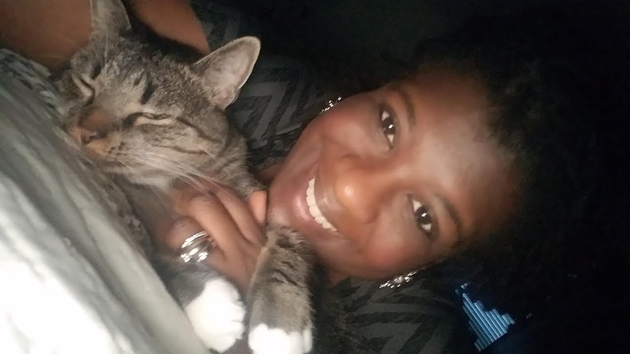 I Just Have To Live With It! 🤷🏾‍♀️ | Midday Humor 😒 Vs. 😼 - YouTube