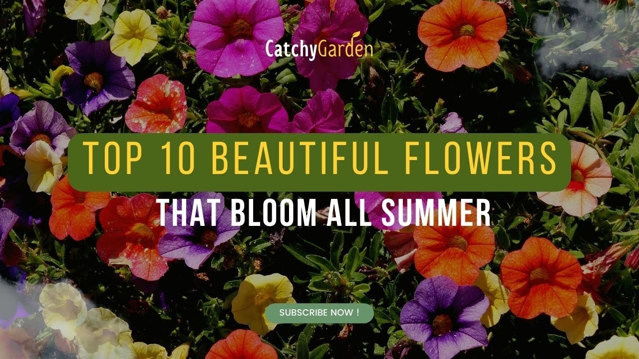 Top 10 Beautiful Flowers That Bloom All Summer 🌺🌻🌸 - YouTube