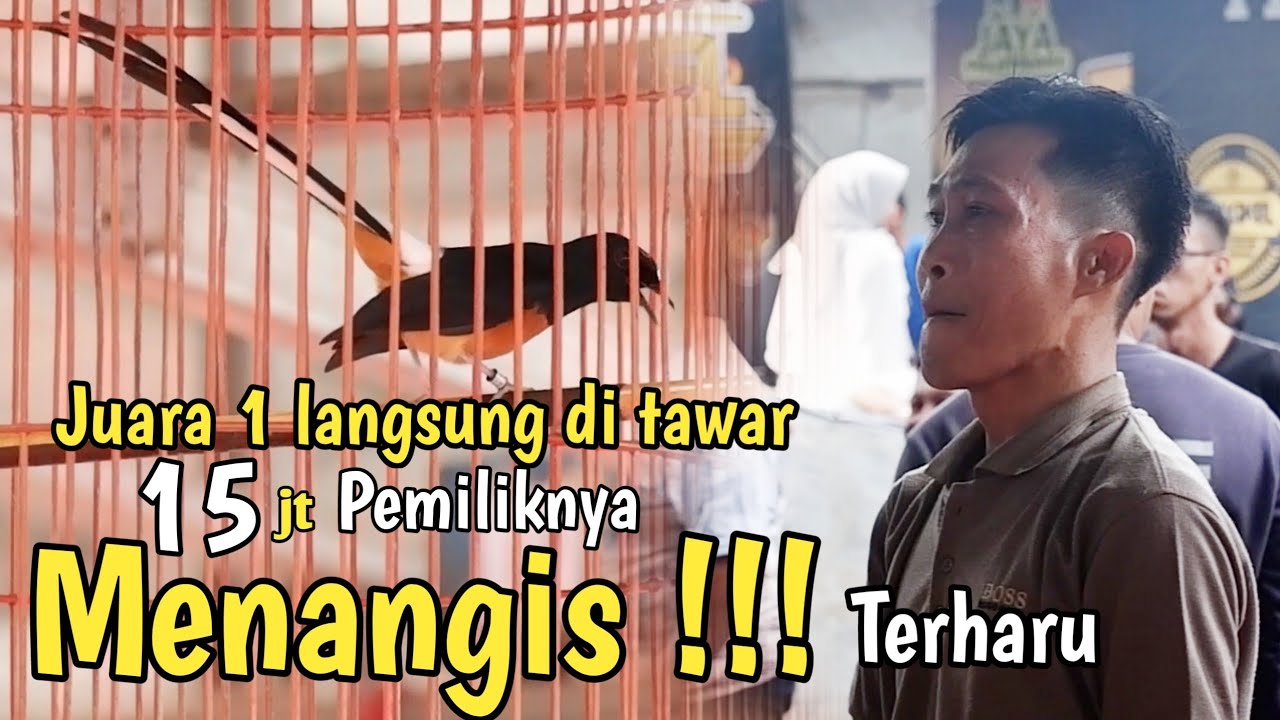 Akar rumput !!! Pertama kali ikut lomba langsung juara 1 😮😮 - YouTube