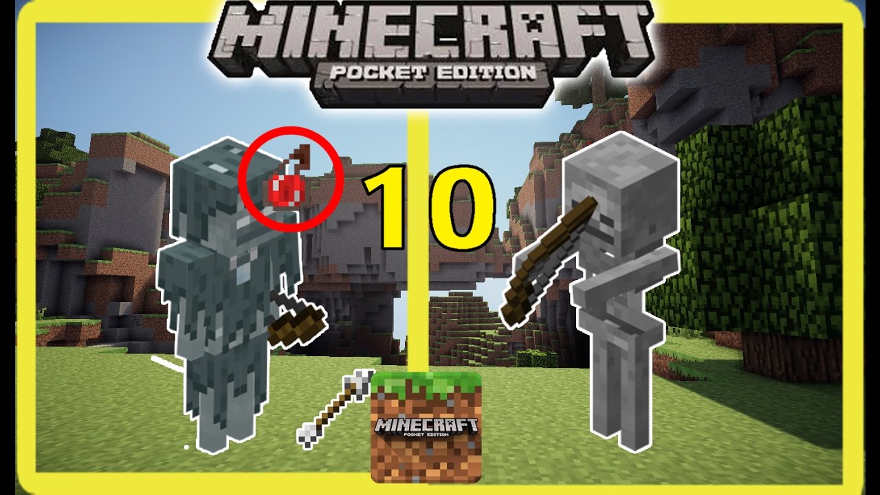 TOP 10 DES TRUCS A SAVOIR SUR LE SKELETON!!| MINECRAFT - YouTube