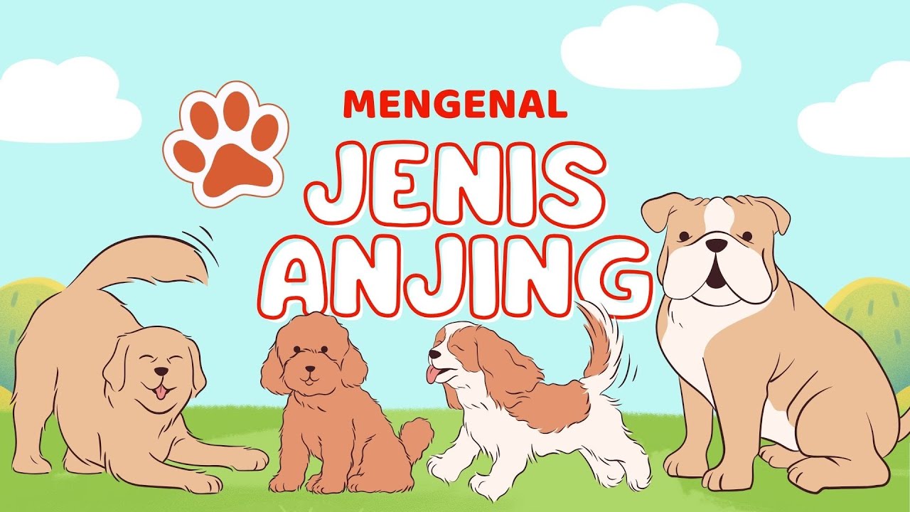 Mengenal Dunia Anjing: Belajar Jenis Anjing untuk Anak-Anak - YouTube