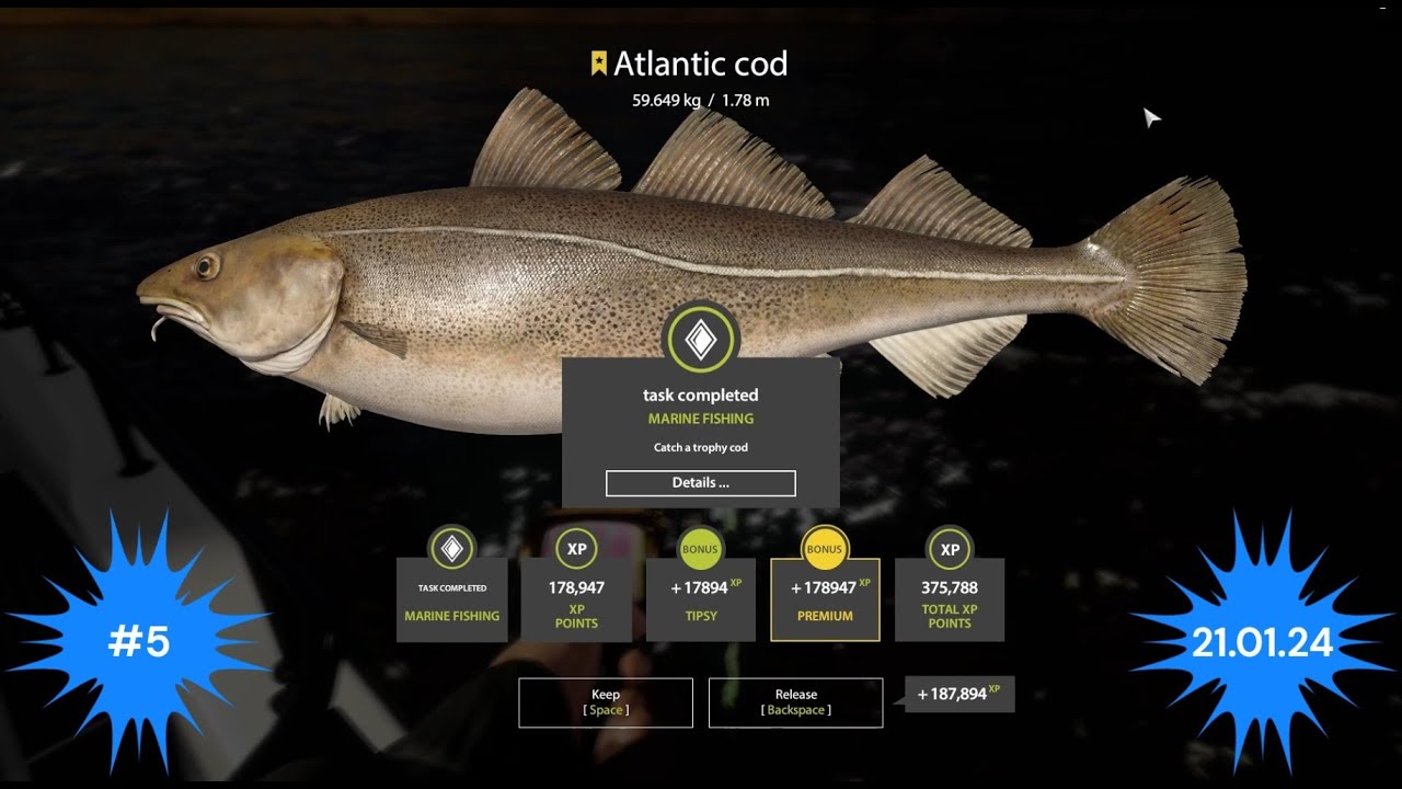 Russian Fishing 4 Norwegian Sea Trophy Cod - YouTube