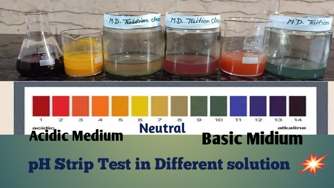 PH Strip Test At home || natural Indicator / Garlic/ Sugar/Salt/Tea ...